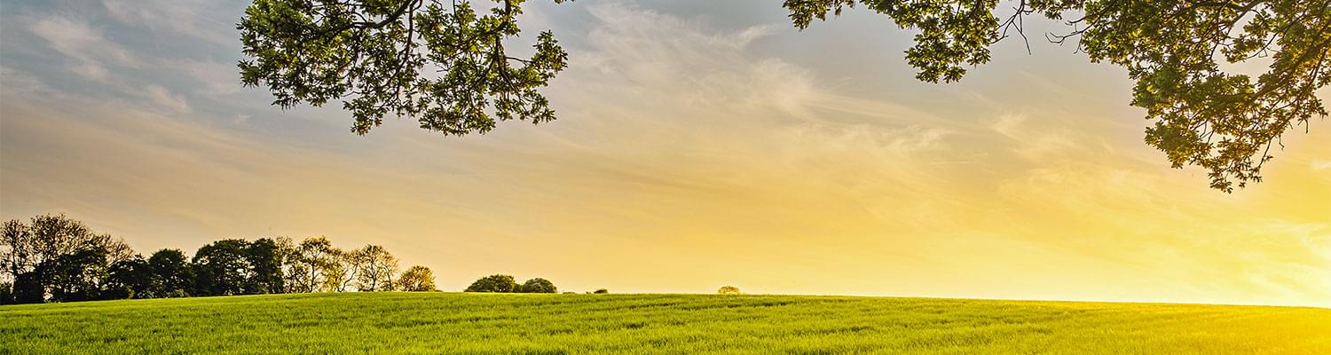 Discover Excellent Farmland for Sale with Ann Milton Realty