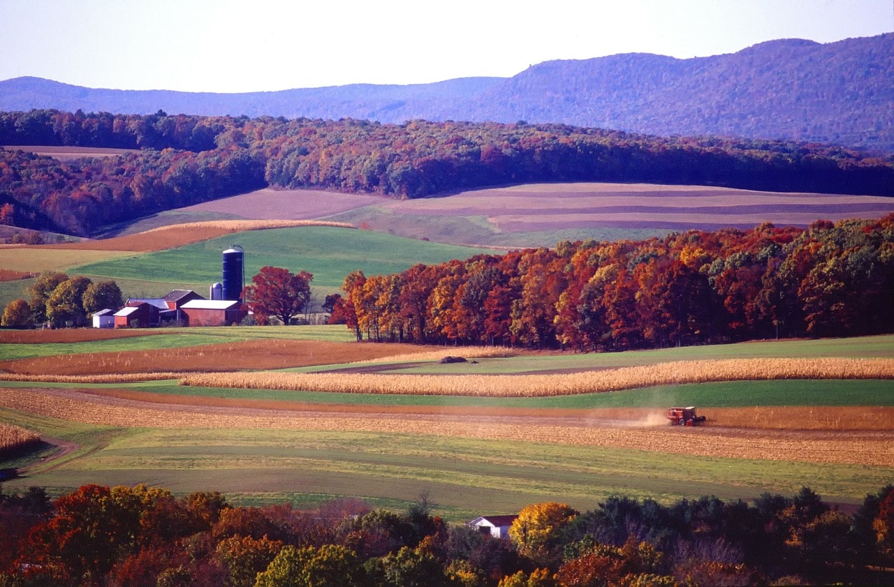 Hickory, PA Homes for Sale | Peaceful Small-Town Living Near Pittsburgh