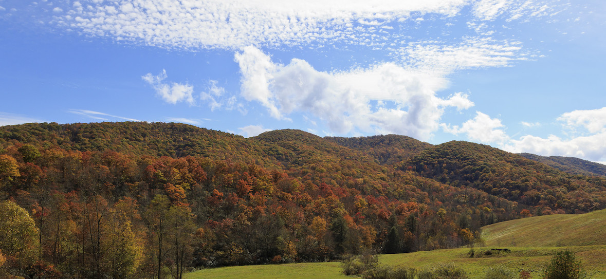 Surry County, NC Community & Residential Information
