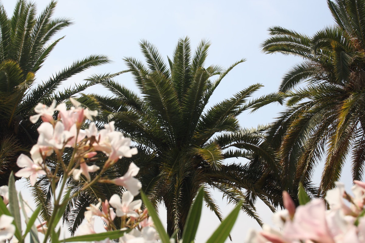 Explore Treasure Coast | Danny & Cindy Tesney