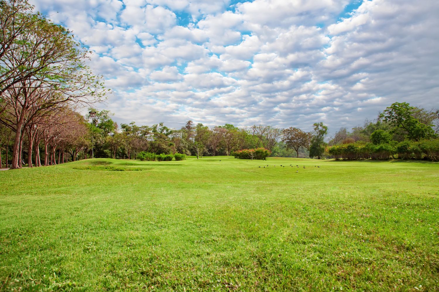 Cliffside NC Community Information & Homes