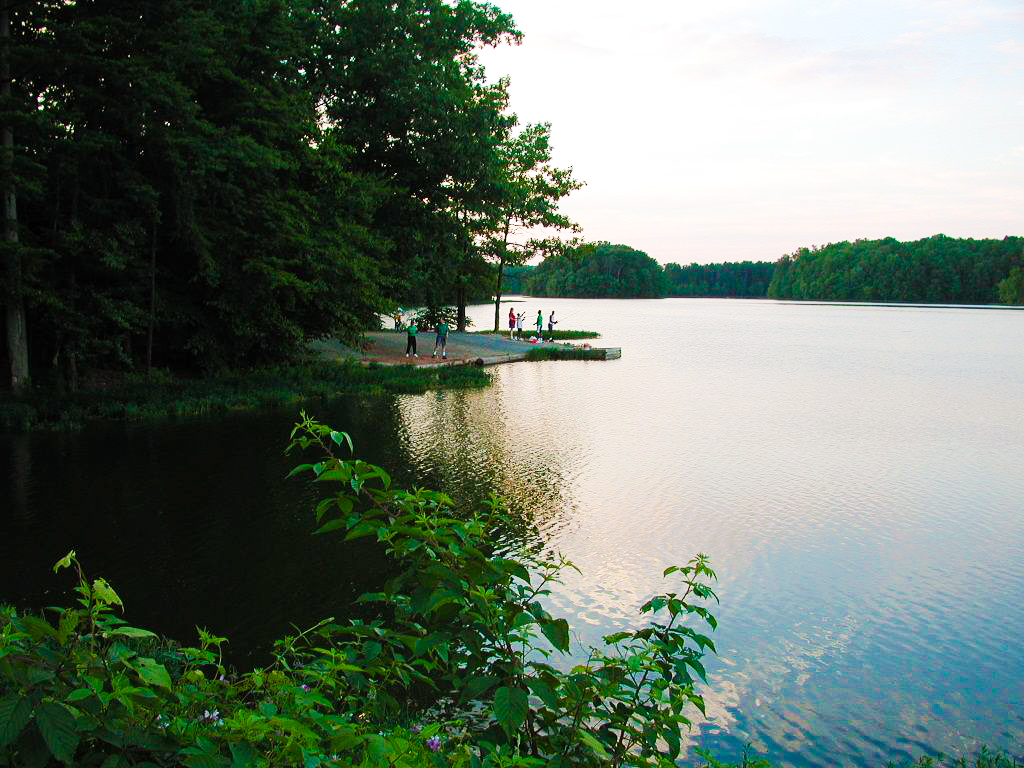 Burke Lake Park Picnic Party
