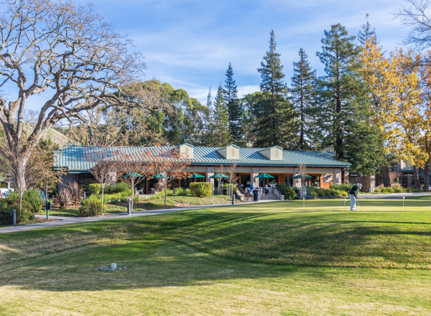 Nora Locke Wong: Your Walnut Creek Real Estate Resource